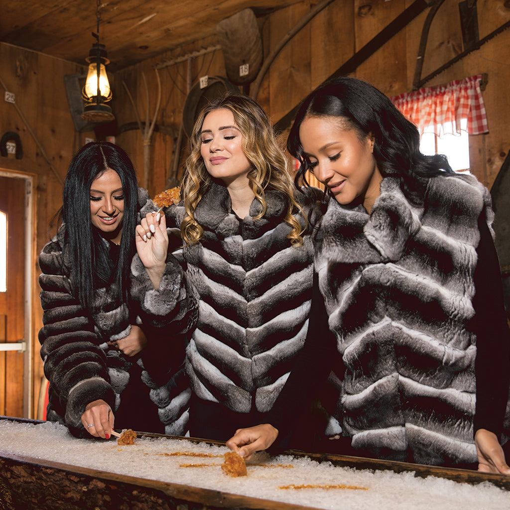 Chinchilla – Musifurs